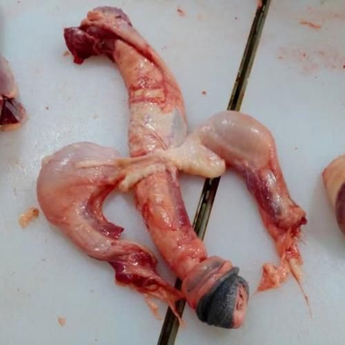 一根驴鞭正常价格_驴鞭多少钱一根-第2张图片-山城妙识