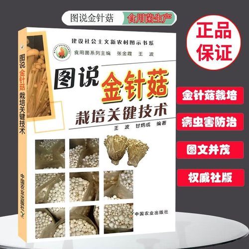 金针菇栽培技术_金针菇怎么种-第3张图片-山城妙识 金针菇栽培技术_金针菇怎么种-第3张图片-山城妙识