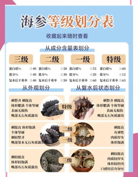 淡干海参品牌排行榜_如何挑选优质淡干海参-第1张图片-山城妙识