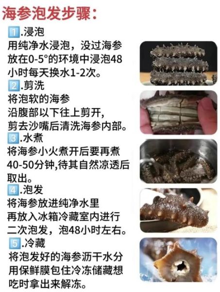 淡干海参品牌排行榜_如何挑选优质淡干海参-第3张图片-山城妙识