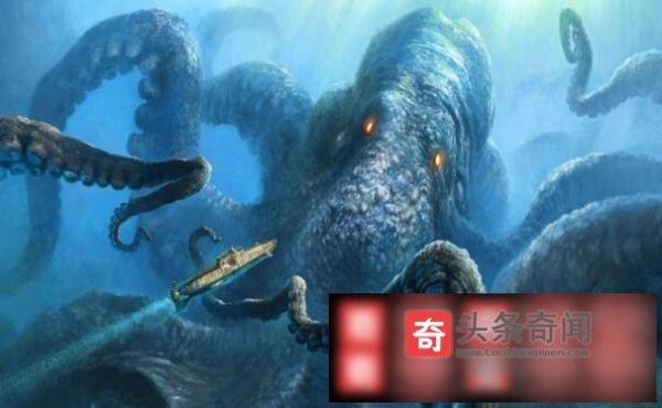 吸血乌贼吃人图片是真的吗_吸血乌贼攻击人类事件真相-第3张图片-山城妙识 吸血乌贼吃人图片是真的吗_吸血乌贼攻击人类事件真相-第3张图片-山城妙识