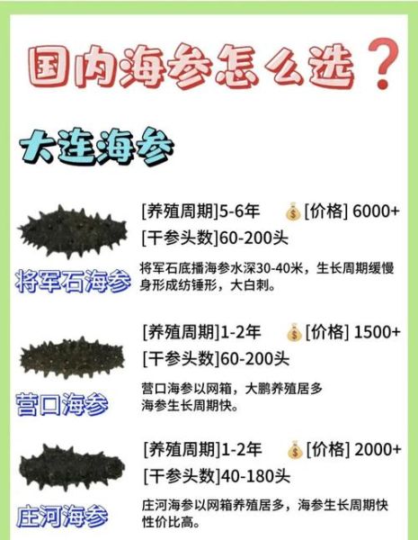 淡干海参品牌排行榜_如何挑选优质淡干海参-第2张图片-山城妙识