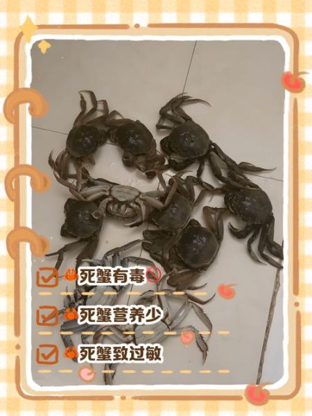 螃蟹死多久不可以吃了_死蟹多久后有毒-第2张图片-山城妙识 螃蟹死多久不可以吃了_死蟹多久后有毒-第2张图片-山城妙识