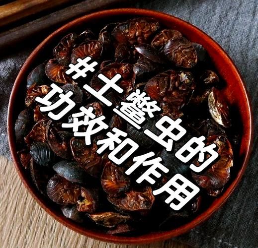 土鳖虫的功效与作用_土鳖虫怎么吃效果最好-第3张图片-山城妙识