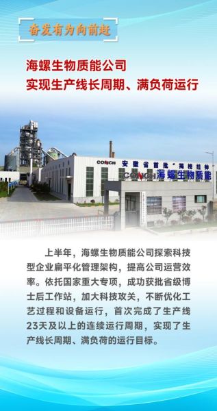 海螺集团是国企还是央企_隶属关系详解-第2张图片-山城妙识