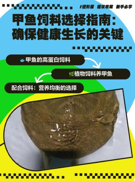 甲鱼吃什么饲料_甲鱼饲料怎么选-第2张图片-山城妙识