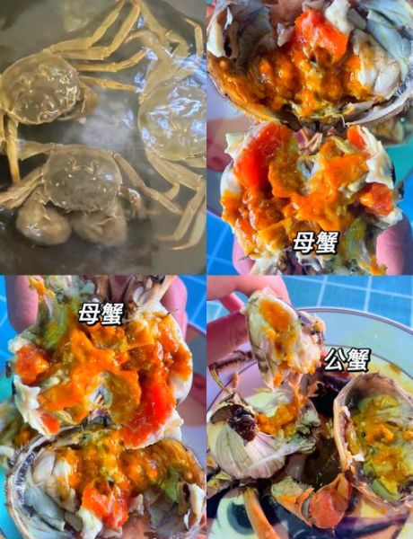 太湖蟹多少钱一斤_太湖蟹价格走势-第3张图片-山城妙识