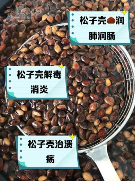 松子有什么功效_松子一天吃多少合适-第2张图片-山城妙识