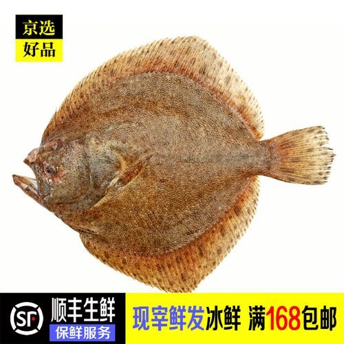 冷冻多宝鱼怎么杀_多宝鱼宰杀视频教程-第3张图片-山城妙识 冷冻多宝鱼怎么杀_多宝鱼宰杀视频教程-第3张图片-山城妙识