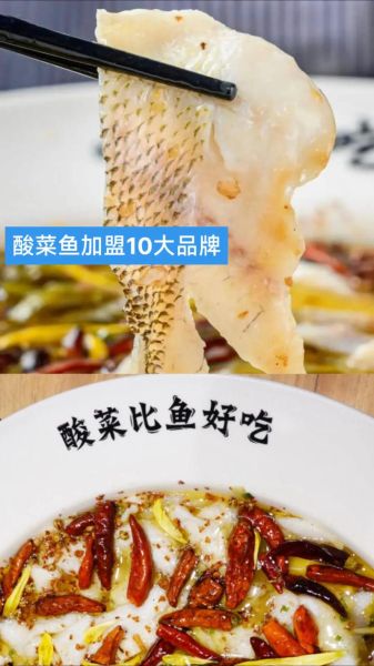 酸菜鱼加盟哪家好_酸菜鱼加盟口碑排行榜-第3张图片-山城妙识