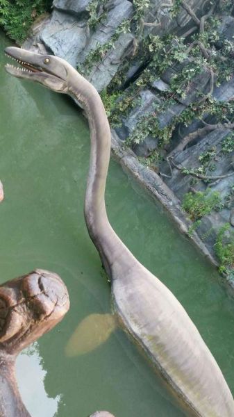 世界十大水怪真的存在吗_尼斯湖水怪真相揭秘-第1张图片-山城妙识