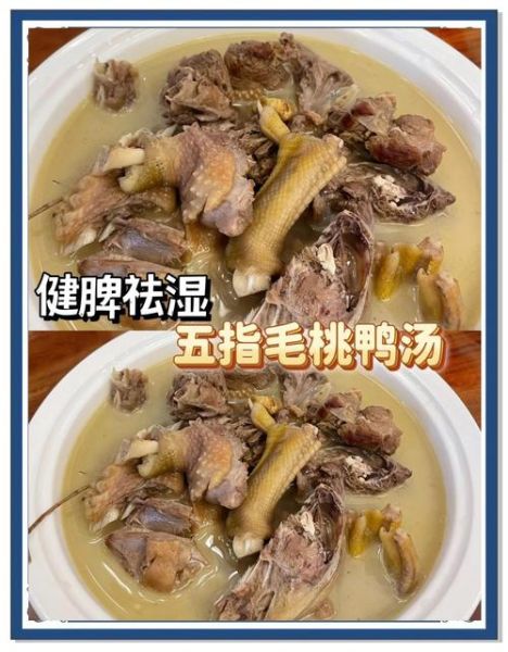 五指毛桃煲鸭汤的功效_适合什么人喝-第2张图片-山城妙识