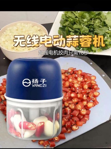 蒜泥器电动怎么用_蒜泥器电动哪个牌子好-第2张图片-山城妙识