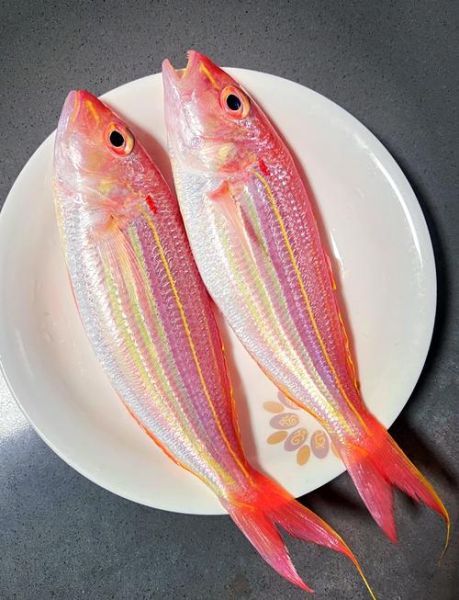 红衫鱼怎么做好吃_清蒸红衫鱼的做法-第3张图片-山城妙识