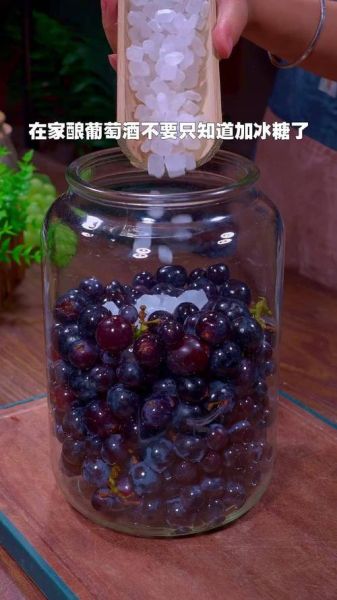 葡萄酒怎么发酵_葡萄酒发酵全过程-第2张图片-山城妙识