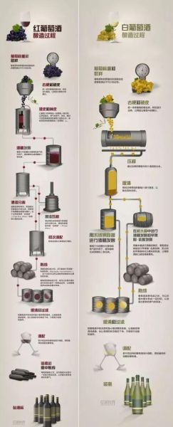 葡萄酒怎么发酵_葡萄酒发酵全过程-第1张图片-山城妙识
