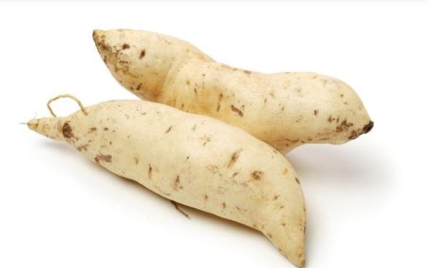 白薯长什么样_白薯和红薯的区别-第3张图片-山城妙识
