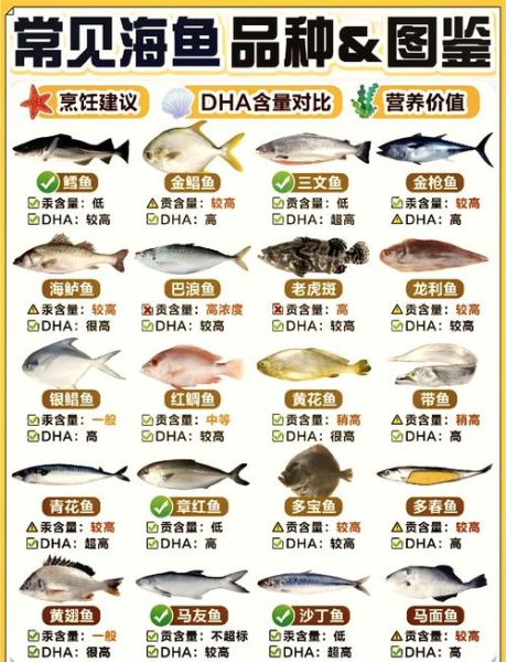 海鱼种类图片和名字卡通_如何快速记住-第1张图片-山城妙识