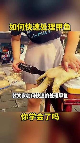 杀甲鱼视频全过程_甲鱼怎么处理干净-第1张图片-山城妙识 杀甲鱼视频全过程_甲鱼怎么处理干净-第1张图片-山城妙识