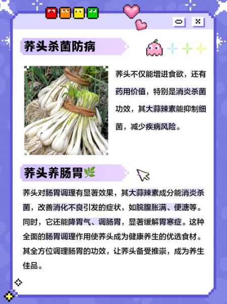 荞头图片_荞头的作用与功效有哪些-第2张图片-山城妙识 荞头图片_荞头的作用与功效有哪些-第2张图片-山城妙识