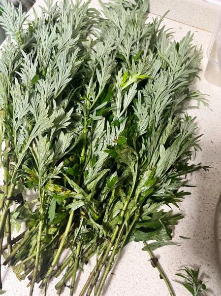 艾草青团怎么做才绿_艾草青团的做法窍门-第3张图片-山城妙识