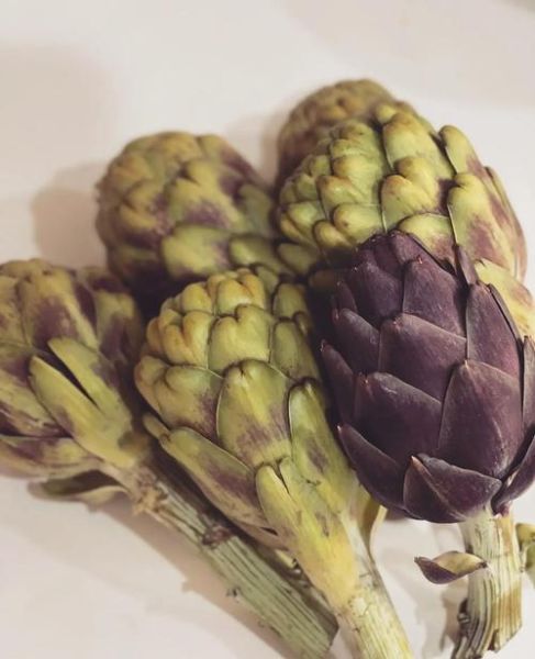 洋蓟怎么挑选_洋蓟怎么吃最营养-第3张图片-山城妙识 洋蓟怎么挑选_洋蓟怎么吃最营养-第3张图片-山城妙识