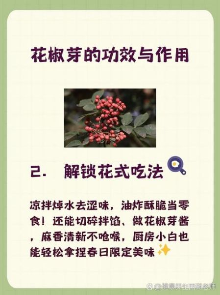 花椒能增强性功能吗_花椒提高性能力怎么吃-第1张图片-山城妙识