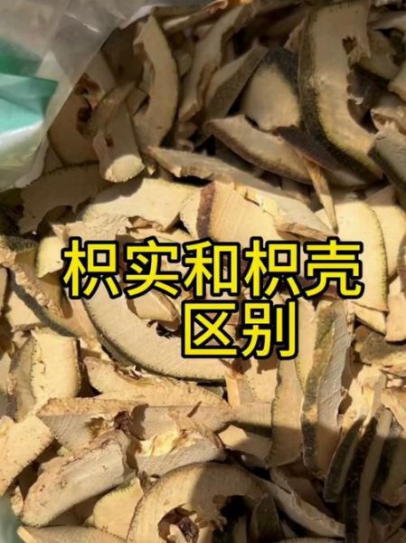 枳壳的功效与作用_枳壳和枳实有什么区别-第2张图片-山城妙识