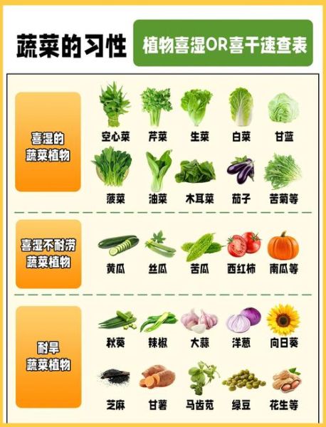 吃什么菜去火效果最好最快_去火蔬菜排行榜-第3张图片-山城妙识 吃什么菜去火效果最好最快_去火蔬菜排行榜-第3张图片-山城妙识