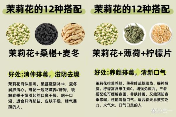 茉莉茶的功效与作用_适合哪些人喝-第1张图片-山城妙识