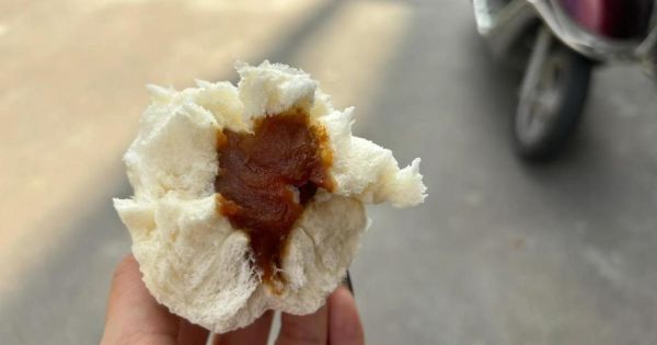 莲蓉包的做法_莲蓉包怎么做好吃-第3张图片-山城妙识