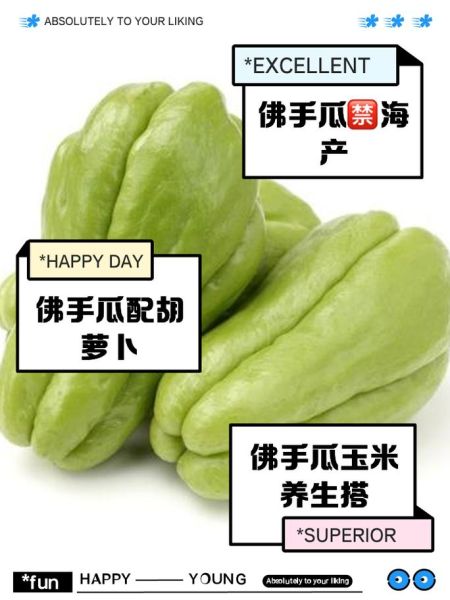 佛手瓜不能和什么一起吃_佛手瓜禁忌人群有哪些-第2张图片-山城妙识 佛手瓜不能和什么一起吃_佛手瓜禁忌人群有哪些-第2张图片-山城妙识