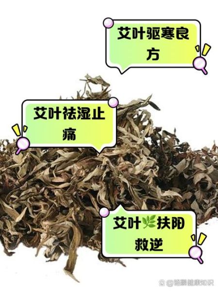 干艾草的功效与作用_干艾草怎么用效果最好-第2张图片-山城妙识