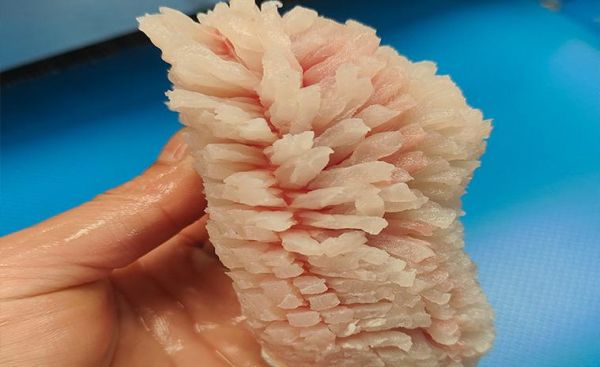 松鼠鱼怎么切花刀_松鼠鱼刀法图解窍门-第3张图片-山城妙识 松鼠鱼怎么切花刀_松鼠鱼刀法图解窍门-第3张图片-山城妙识