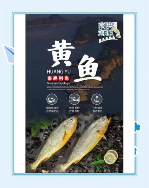 正宗野生大黄鱼多少钱一斤_如何分辨真假-第1张图片-山城妙识