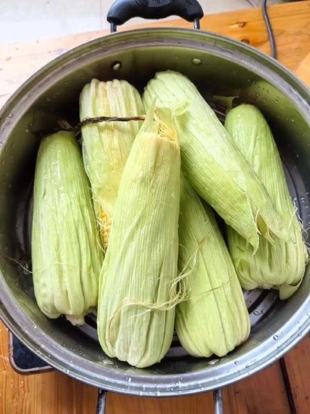 煮玉米要煮多久_甜玉米煮多久才熟-第1张图片-山城妙识