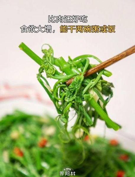 佛手瓜苗怎么炒好吃_佛手瓜苗的做法大全-第1张图片-山城妙识