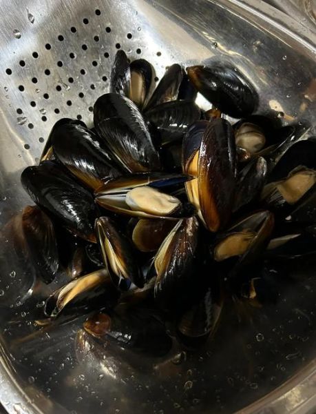 贻贝怎么清洗_贻贝的做法大全-第1张图片-山城妙识