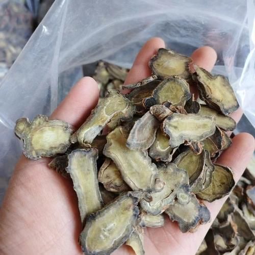 田七图片大全_田七长什么样-第2张图片-山城妙识