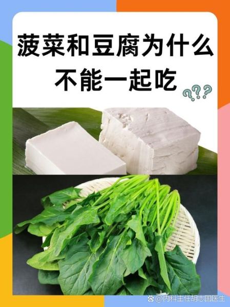 菠菜和豆腐一起吃有毒吗_真相解析-第1张图片-山城妙识