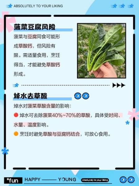 菠菜和豆腐一起吃有毒吗_真相解析-第2张图片-山城妙识