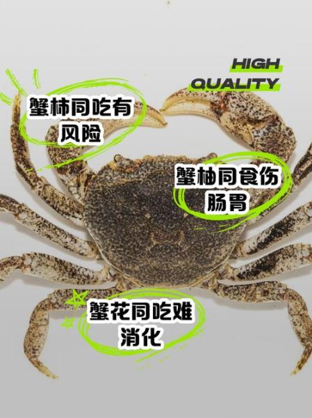 吃海鲜不能吃什么_海鲜与哪些食物相克-第2张图片-山城妙识 吃海鲜不能吃什么_海鲜与哪些食物相克-第2张图片-山城妙识