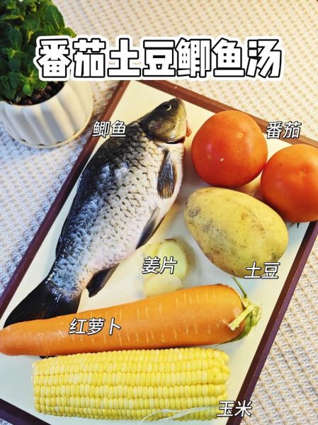 番茄鱼汤怎么做_番茄鱼汤的营养价值-第1张图片-山城妙识