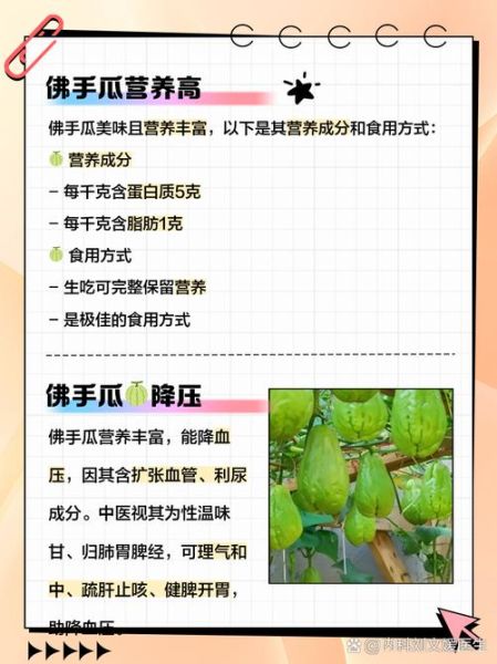 佛手瓜能生吃吗_佛手瓜皮能吃吗-第3张图片-山城妙识 佛手瓜能生吃吗_佛手瓜皮能吃吗-第3张图片-山城妙识