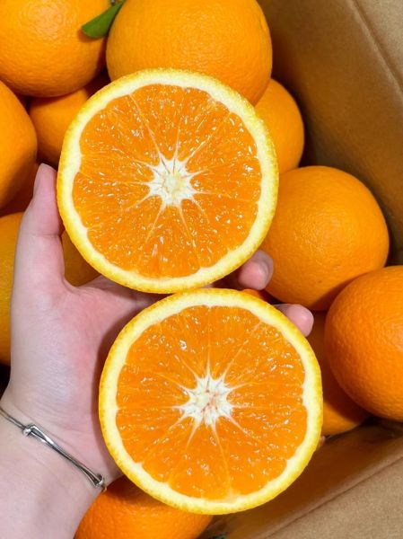 中国最好吃的橙子排名_哪里的橙子最甜-第2张图片-山城妙识