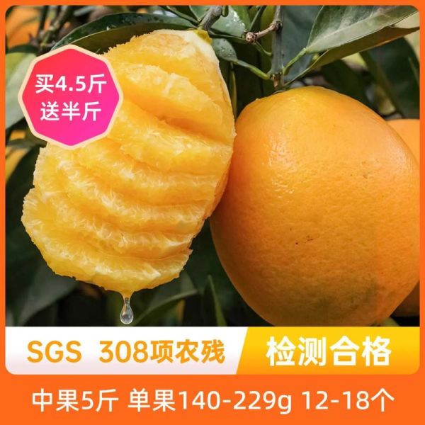 中国最好吃的橙子排名_哪里的橙子最甜-第3张图片-山城妙识