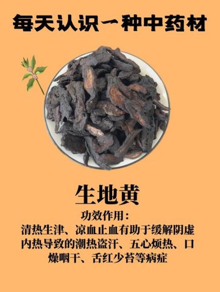 女人用生地还是熟地_哪个更适合调理气血-第3张图片-山城妙识