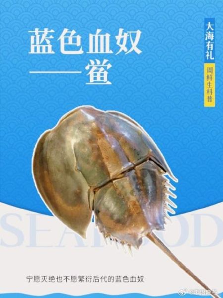 鲎的血液为什么蓝色_鲎试剂价格多少钱-第1张图片-山城妙识