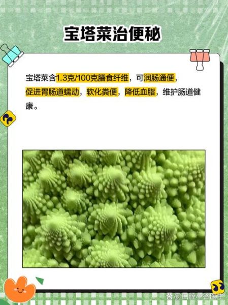 宝塔菜怎么种_宝塔菜和宝塔花菜区别-第3张图片-山城妙识 宝塔菜怎么种_宝塔菜和宝塔花菜区别-第3张图片-山城妙识