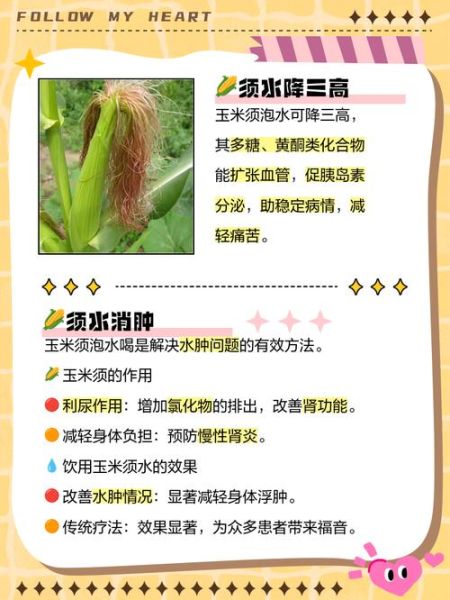 玉米须煮水喝的功效与禁忌_玉米须水怎么煮才正确-第3张图片-山城妙识 玉米须煮水喝的功效与禁忌_玉米须水怎么煮才正确-第3张图片-山城妙识